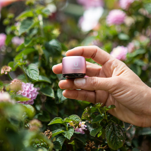 Macro U Boost Speaker - 18 Boost - Forests, Tides, and Treasures