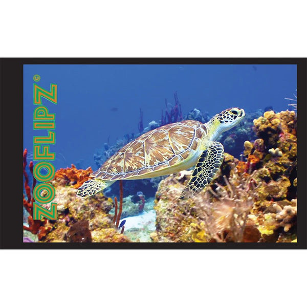 Sea Turtle Flipbook - Forests, Tides, and Treasures
