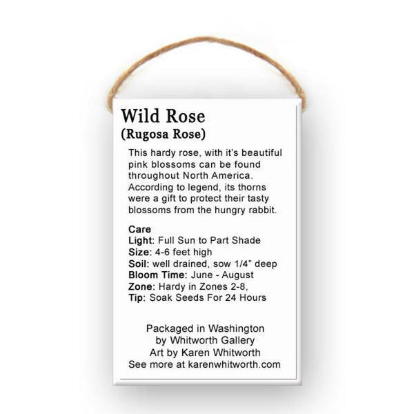 Wild Rose Seeds - Forests, Tides, and Treasures